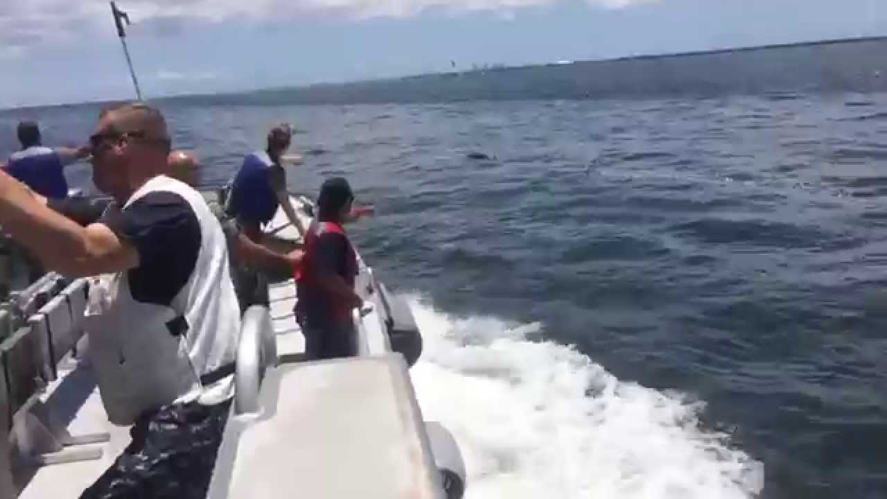 Copy of Maritime Prepositioning Force Utility Boat MOB Drill - YouTube