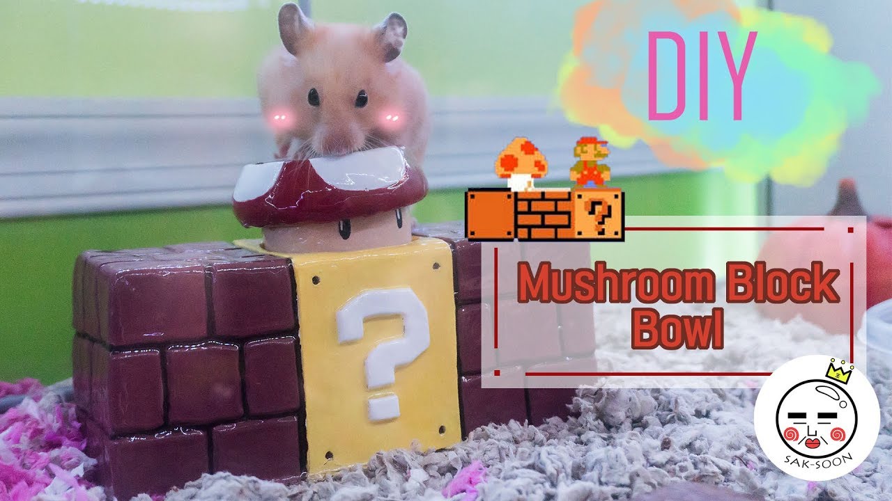 DIY | HAMSTER - Super Mario Mushroom Bowl - YouTube