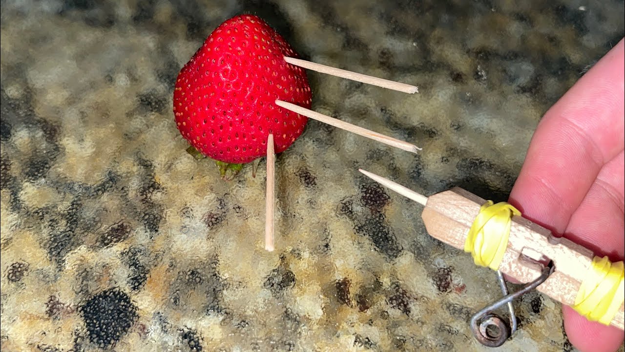 How to Make a Very “Useful” Toothpick Launcher in 3 Minutes - YouTube