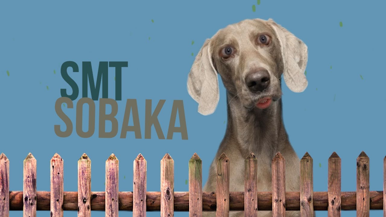 СМТ - SOBAKA (Lyric video) - YouTube