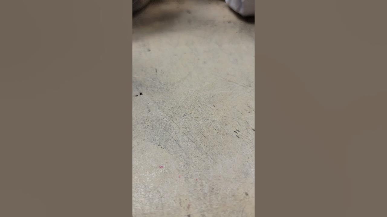 Let write black chicks - YouTube