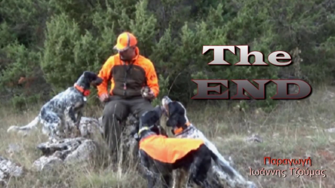 ΚΥΝΗΓΙ ΜΠΕΚΑΤΣΑΣ 2018 (WOODCOCK BECCACCIA HUNTING) CACCIA ALLA ...