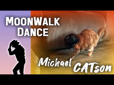 Michael Catson | MoonWalk Dance - YouTube