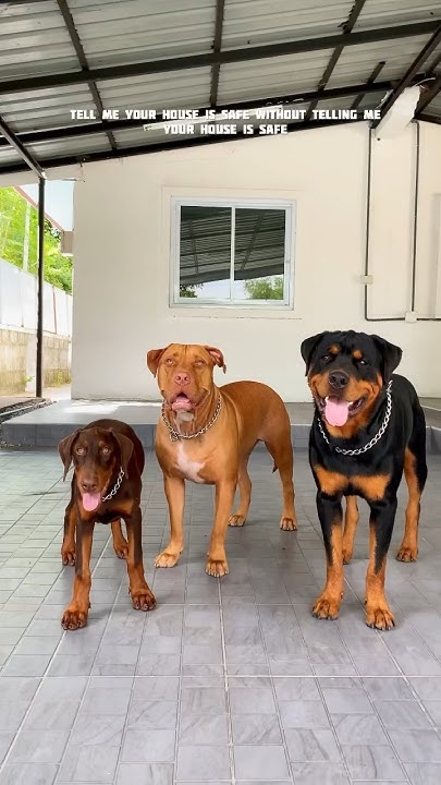 Show me don’t tell me 🤫 - YouTube