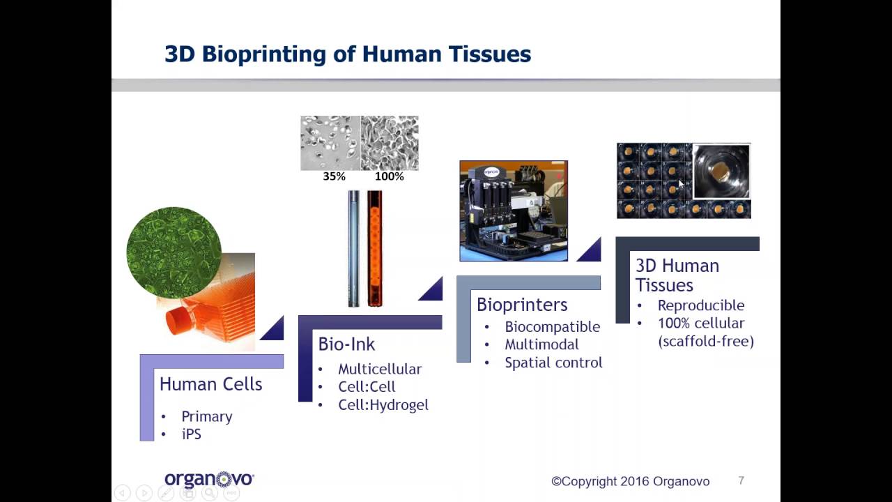 Webinar: Use of Bioprinted 3D Human Tissues for the Assessment of Drug ...