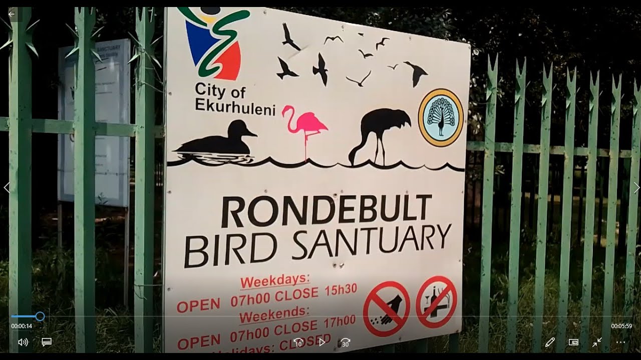 Rondebult Bird Sanctuary Tour, South Africa Today 22 January 2023 - YouTube