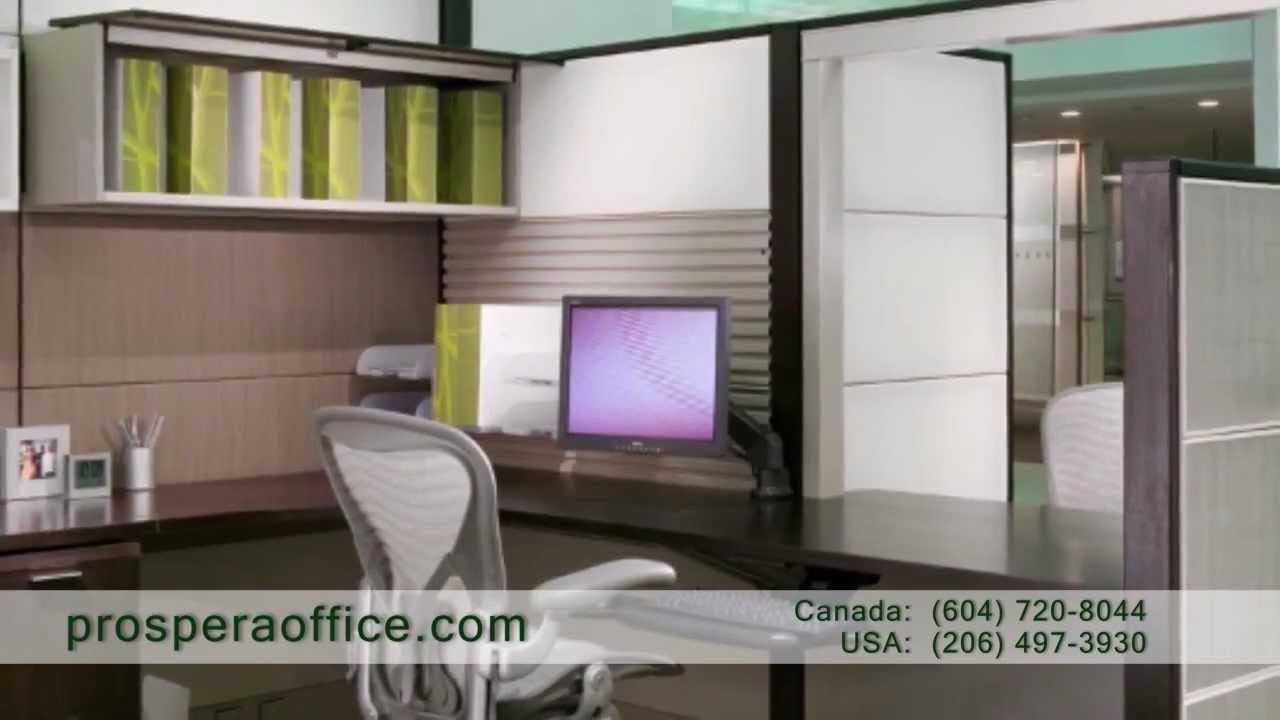 Prospera Promo Video - YouTube