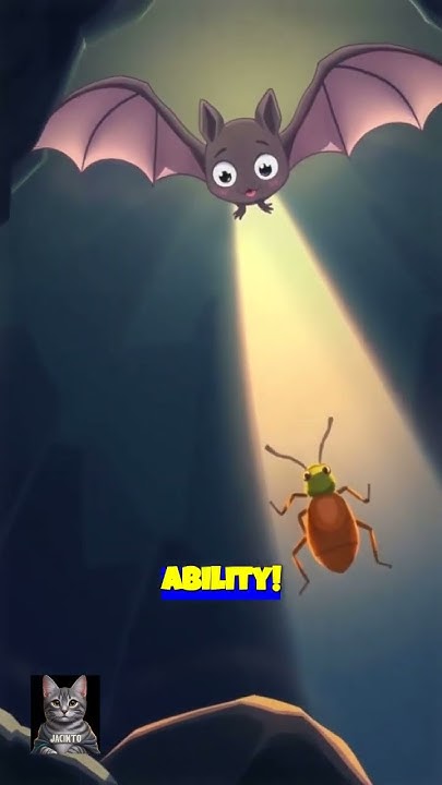 How Do Bats Use Echolocation? #facts - YouTube