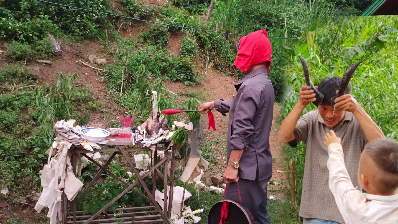 hmo no pauj nyab thee lub yeem 25/6/2023 - YouTube