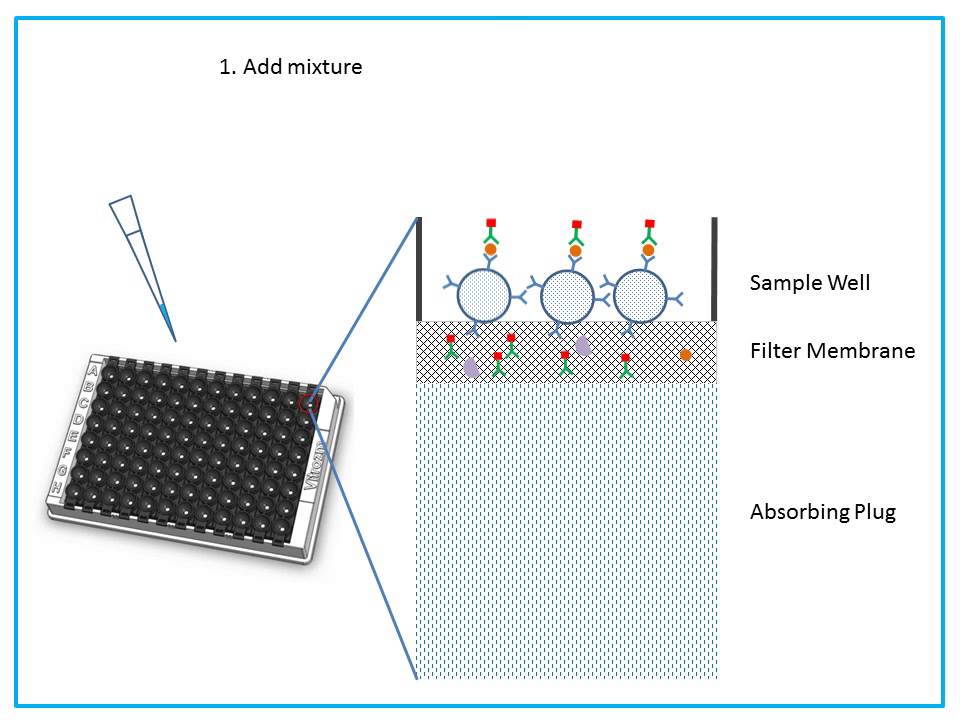Bead-Based Assay Using Zoom Plate - YouTube