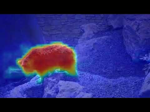 Weakly Supervised Object Localization - YouTube