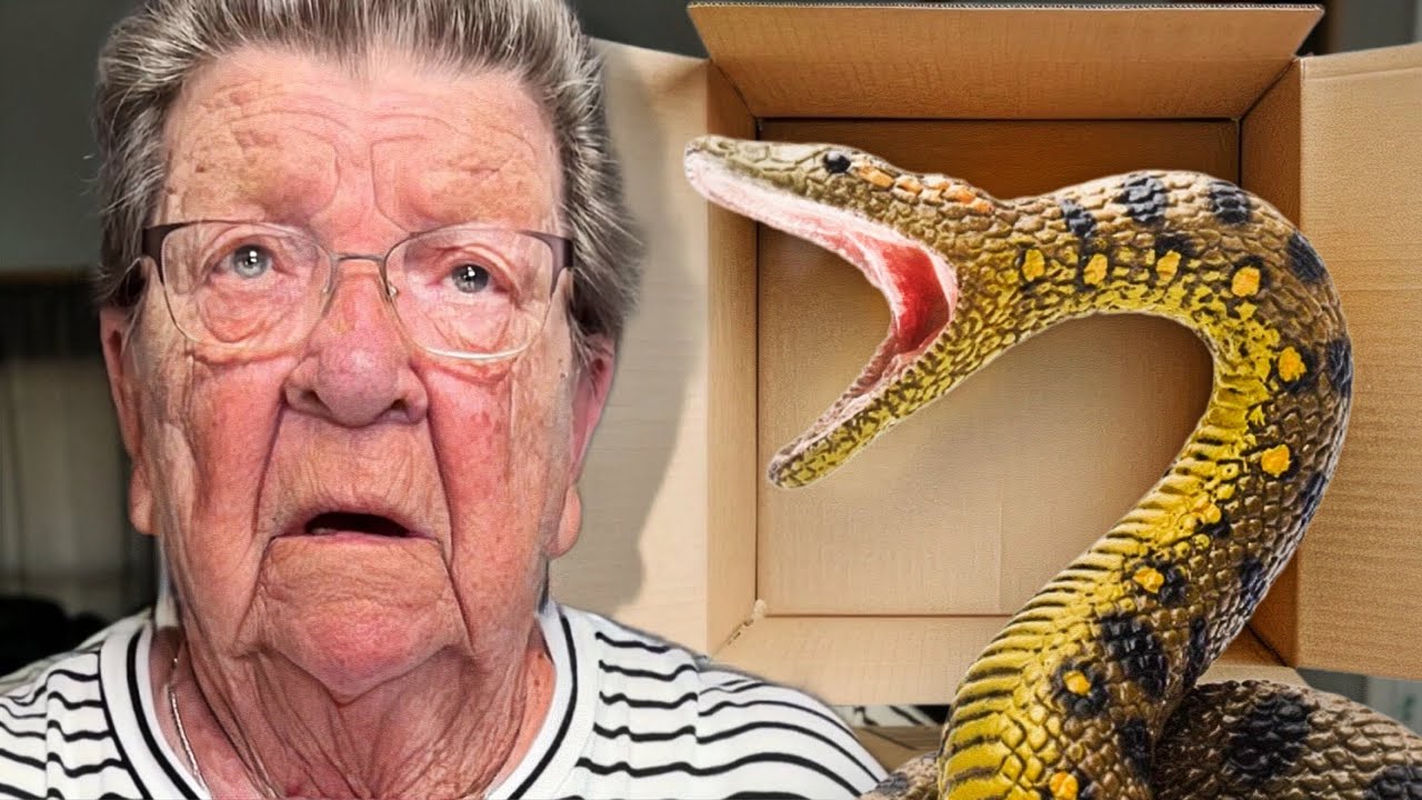 SNAKE IN BOX PRANK ON GRANDMA! - YouTube
