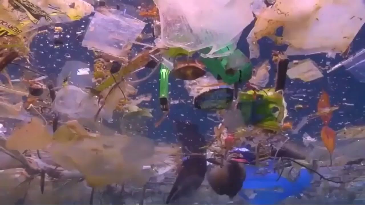 Water Pollution - free stock footage - YouTube