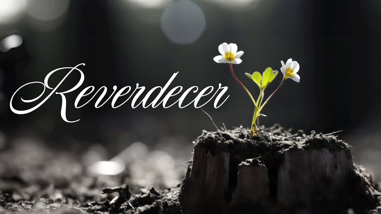 Reverdecer - Parte 3 - Iglesia La Gloria de Dios Internacional - YouTube