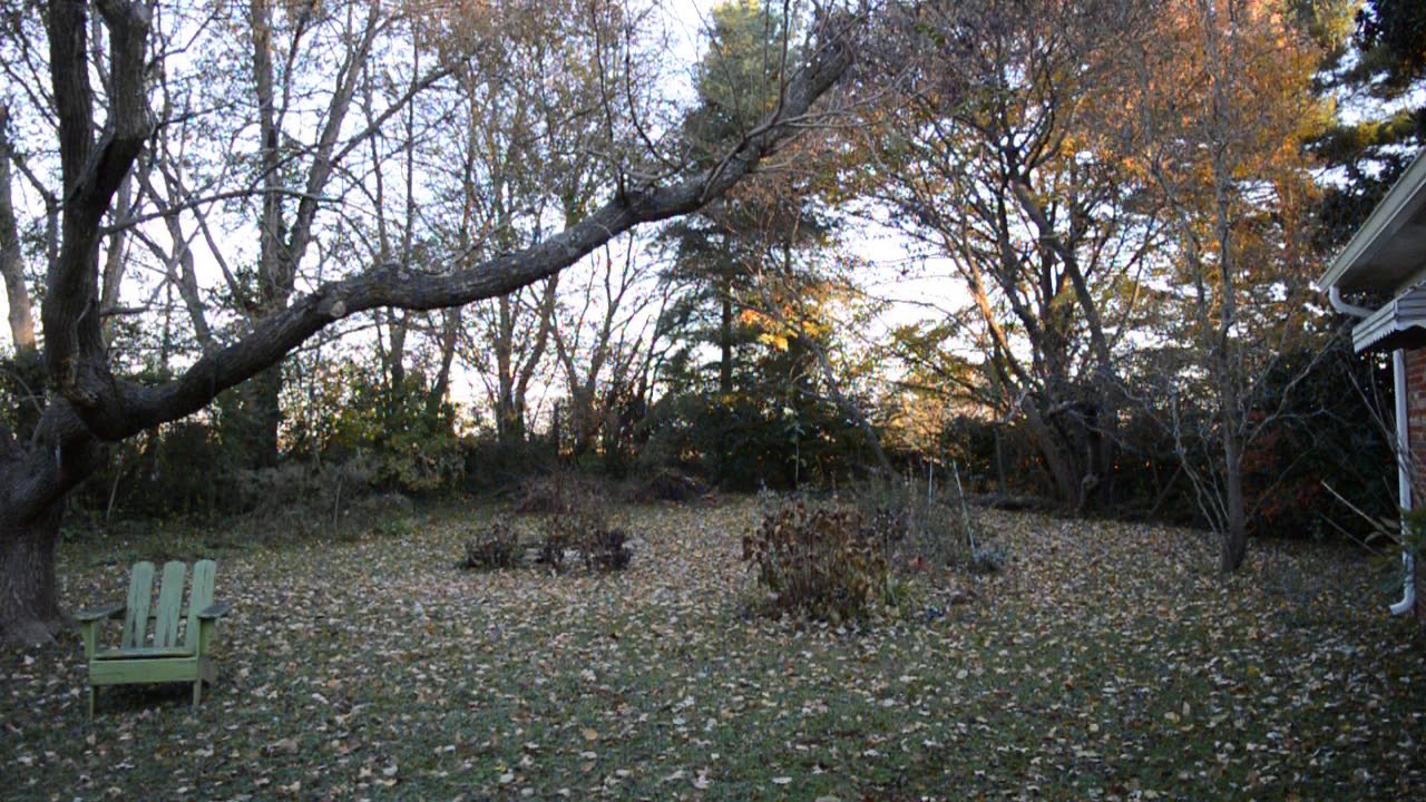 The Sounds of an Early November Morning - YouTube