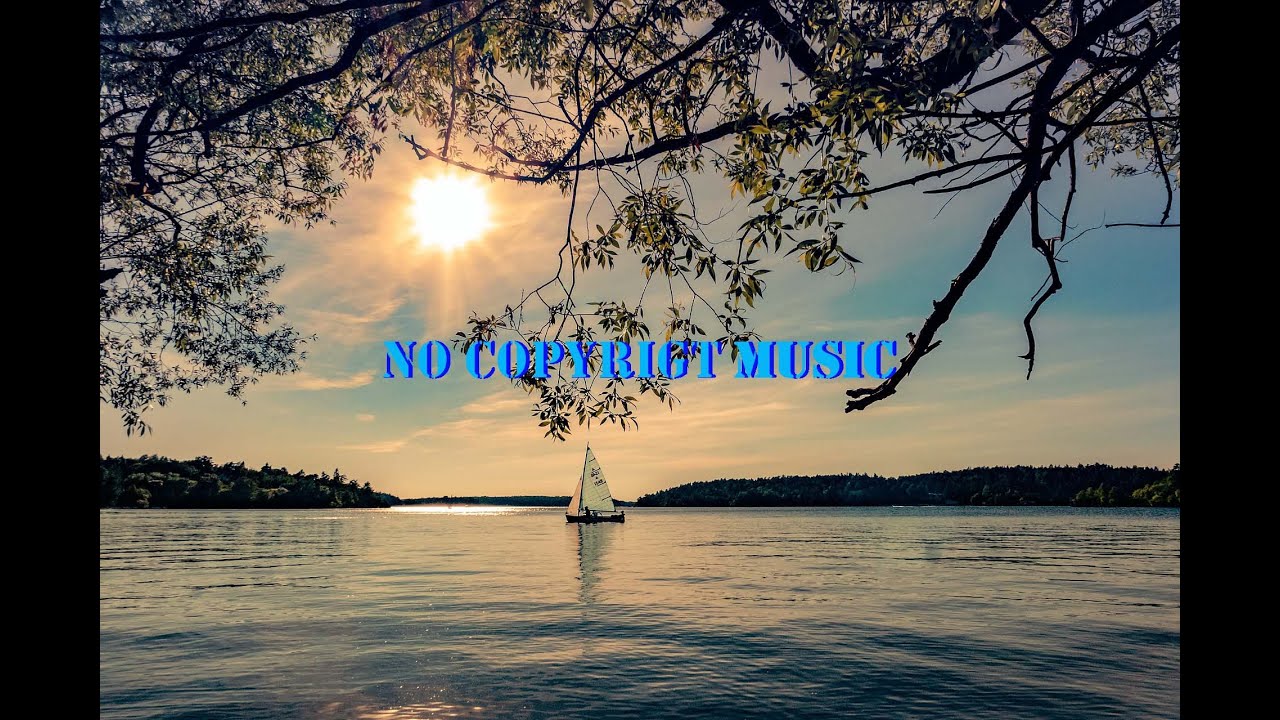 Life – Roa [No Copyright Music] - YouTube