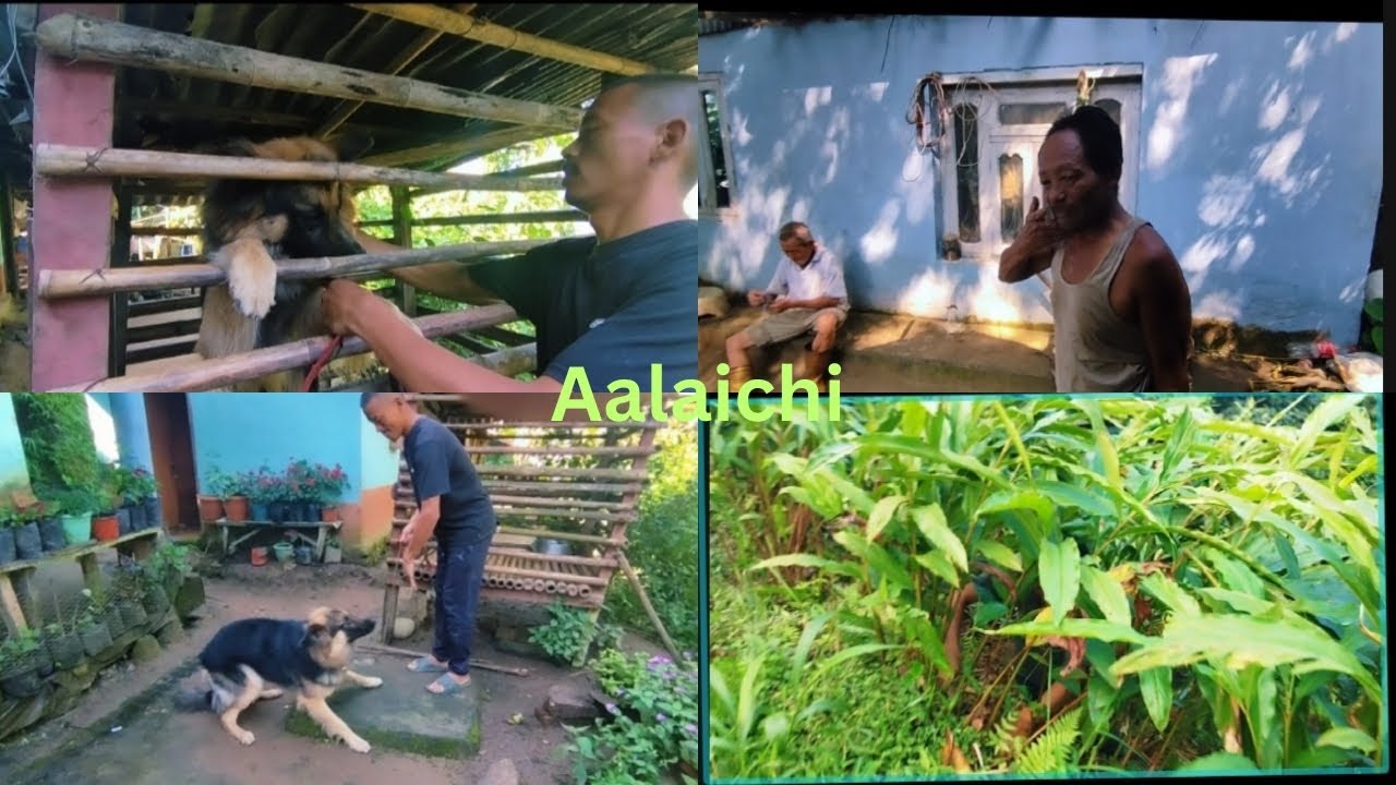 Rocky leyara aalaichi Pani tipyo hai guys 🤭🤭🤭🤭🤭 - YouTube