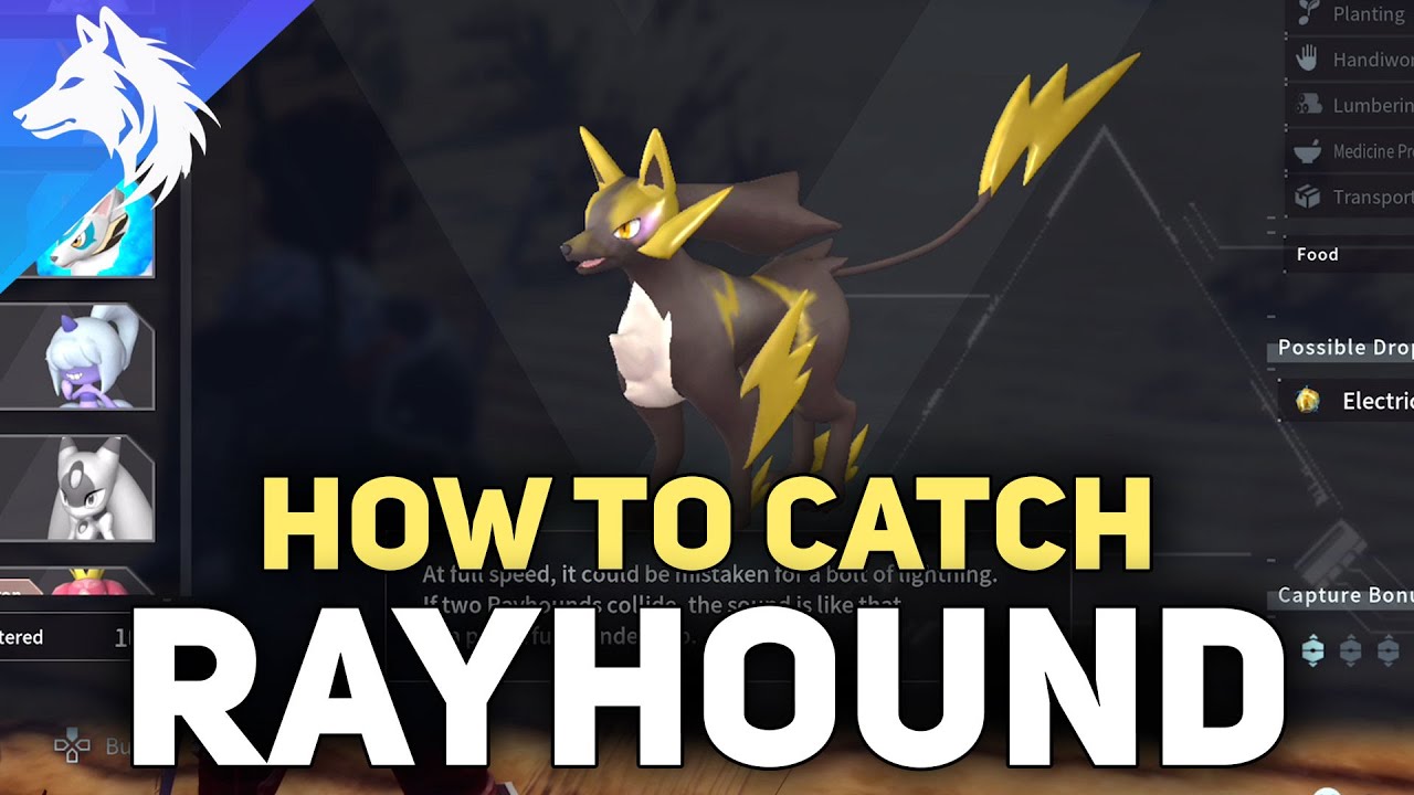 Rayhound Location & How To Catch - Palworld - YouTube
