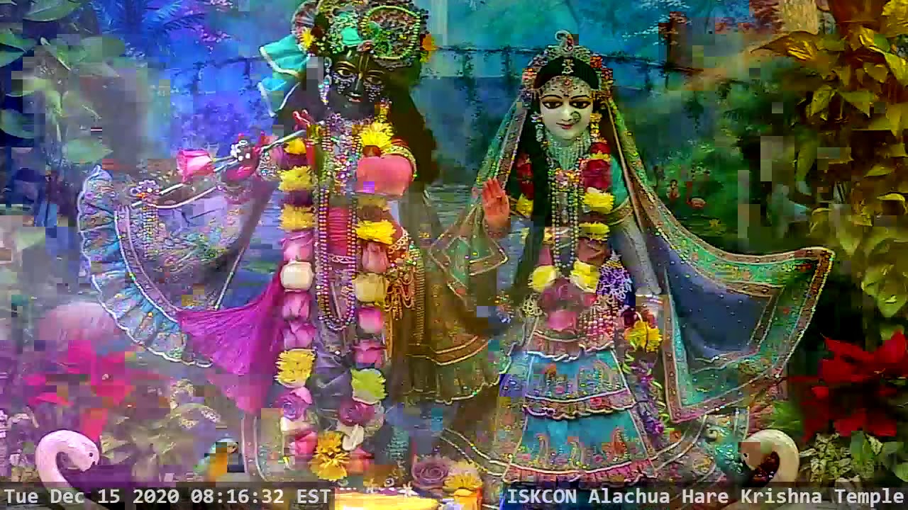 Dhruva maharaj dasa // 2020-12-15 // SB 1.10. 9-10 - YouTube