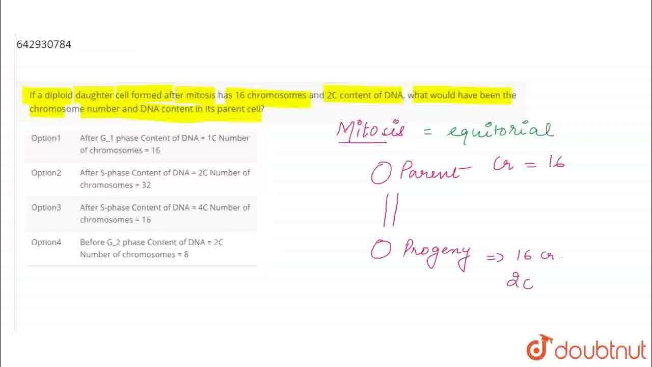 If a diploid daughter cell formed after mitosis has 16 chromosomes and ...