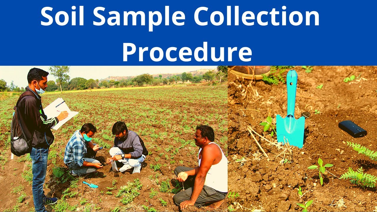How to Collect Soil Samples for Analysis Using Remote Sensing & GIS ...