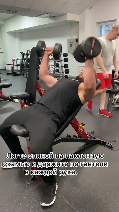 Жим лежа на наклонной скамье с гантелями техника выполнения Youtube