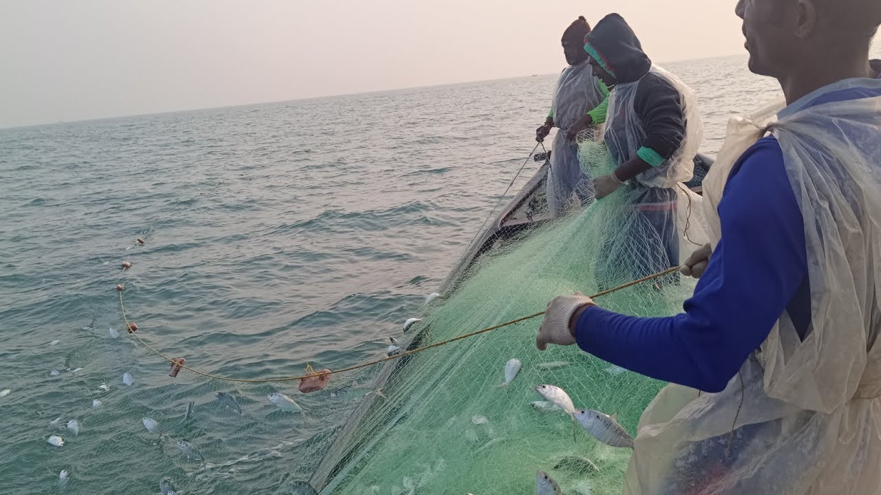 Sea Fishing Video And Fisherman Fish Catch - YouTube