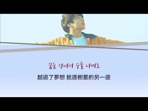 韓中字｜Euphoria : Theme of LOVE YOURSELF 起 Wonder - Jungkook(BTS) M/V ver.