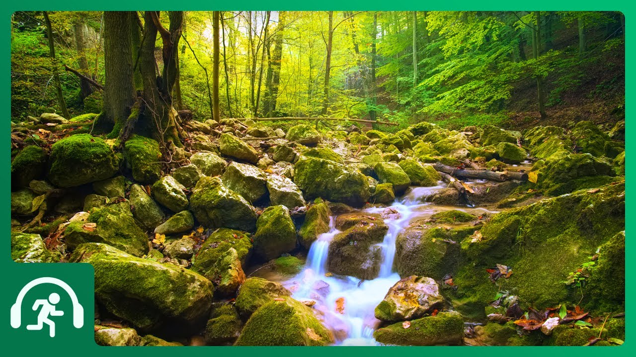 Babbling Brook · flowing water and forest bird sounds · sleep ...