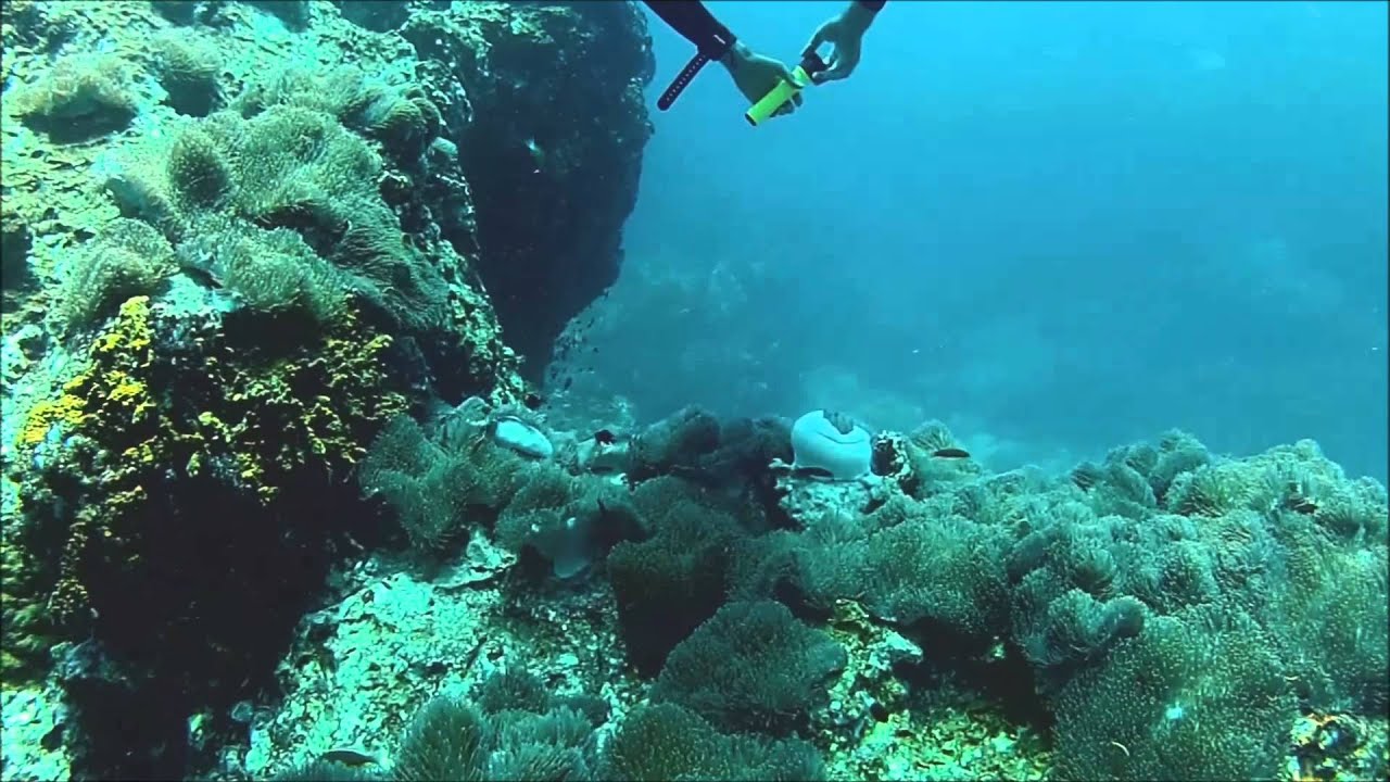Richelieu Rock - Scuba Diving - Surin Islands, Thailand - March 2013 ...
