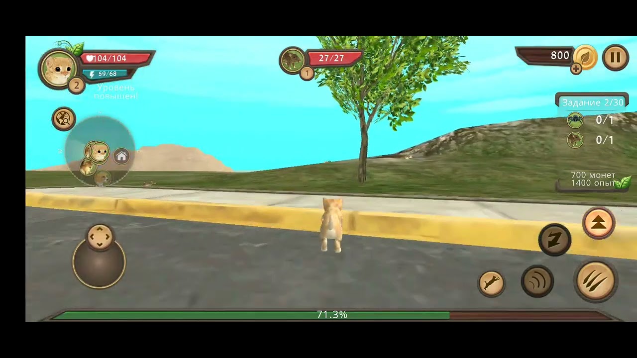 играем в Cat Sim - YouTube