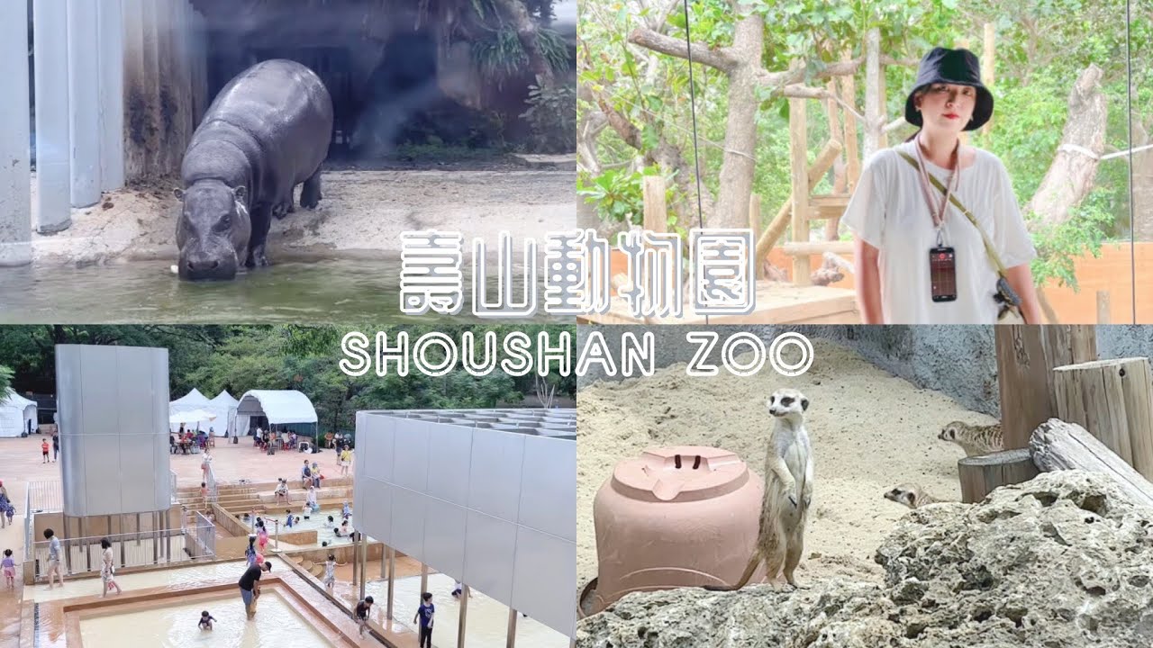 壽山動物園 🦏 ｜ Shoushan Zoo - YouTube