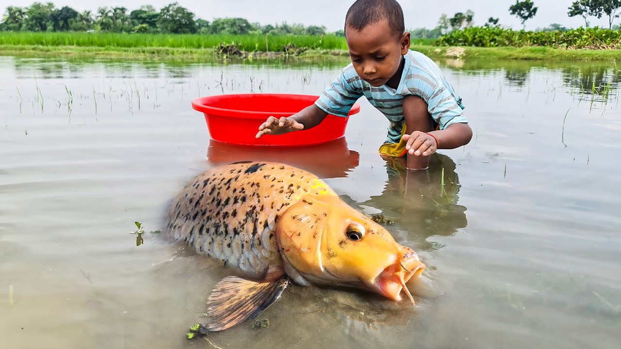 Amazing Traditional Boy Fish Catching By Hand in Water | Amazing Hand ...