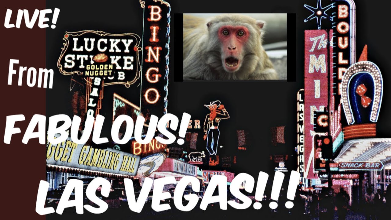 Return to Crystal Forest Slot Machine Video Live From Vegas! Bonuses ...