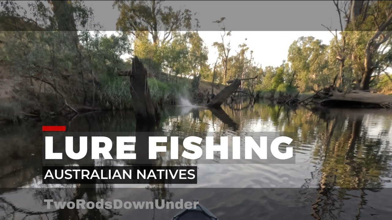 Lure Fishing for Australian Natives - YouTube