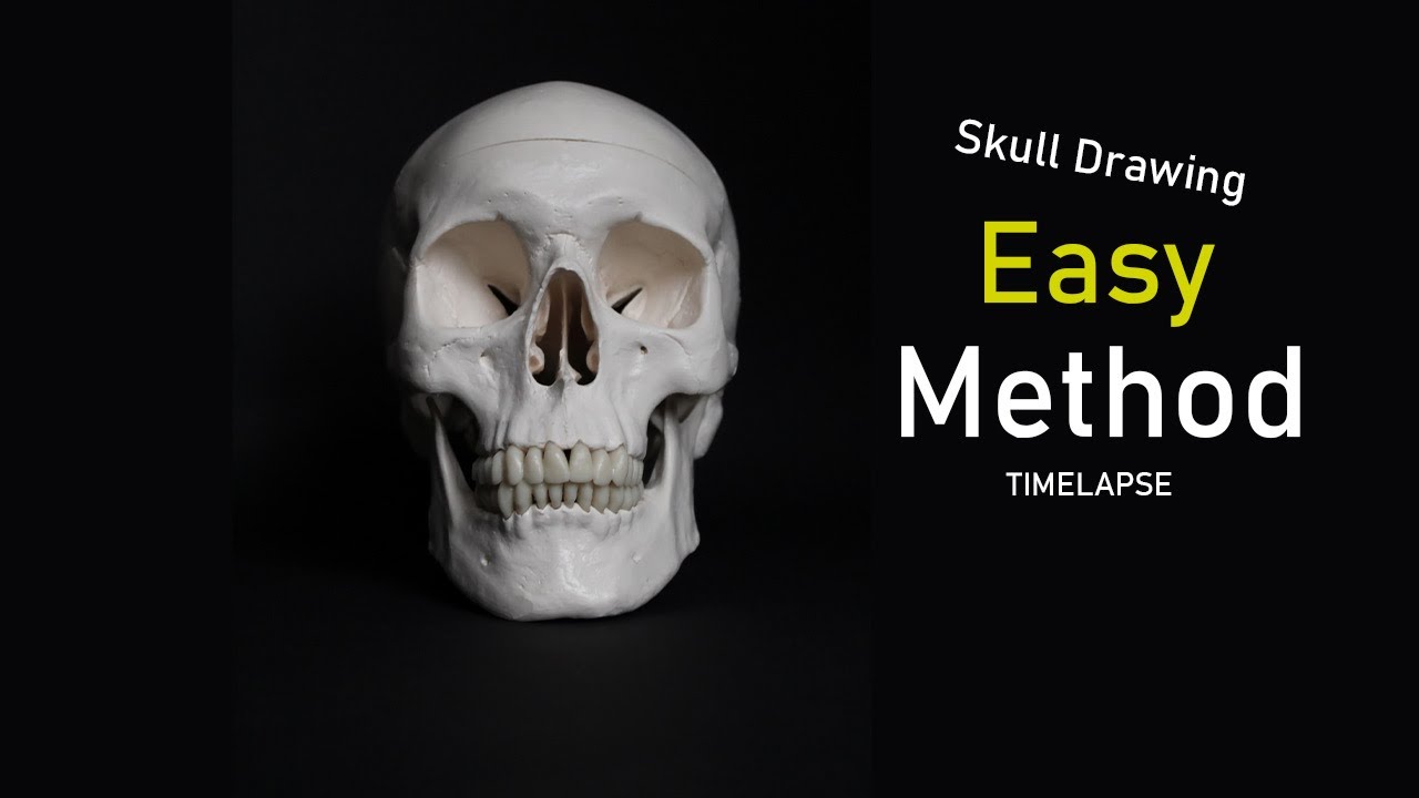 easy skull drawing | Loomis Method - YouTube