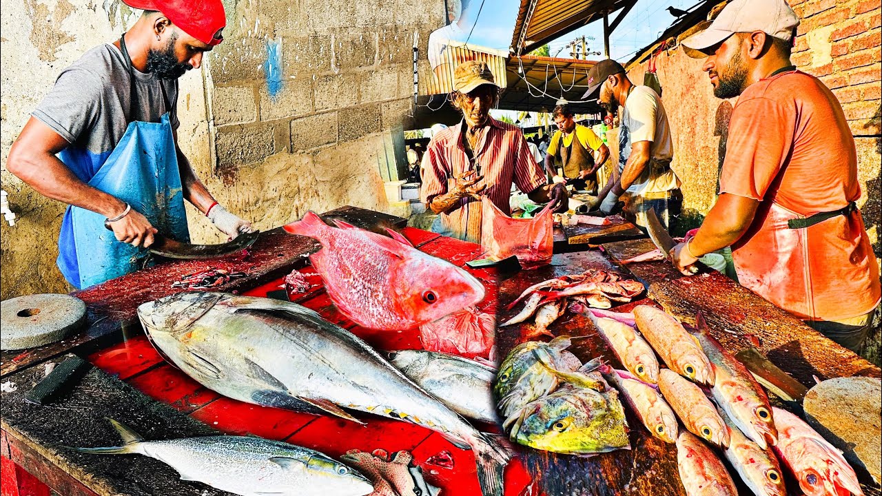 WOW AMAZING INTERESTING BIGGEST FISH CUTTING SHOW IN RUSTIC VILLAGE ...