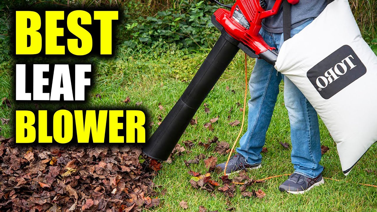 TOP 5: Best Leaf Vacuum for Wet Leaves - YouTube
