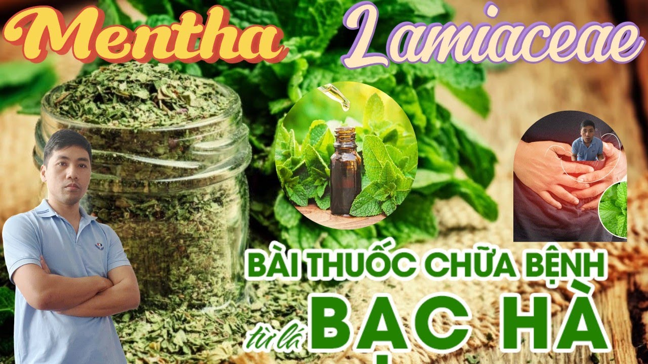 10 Wrong Answers To Common Mentha Arvensis Questions - YouTube