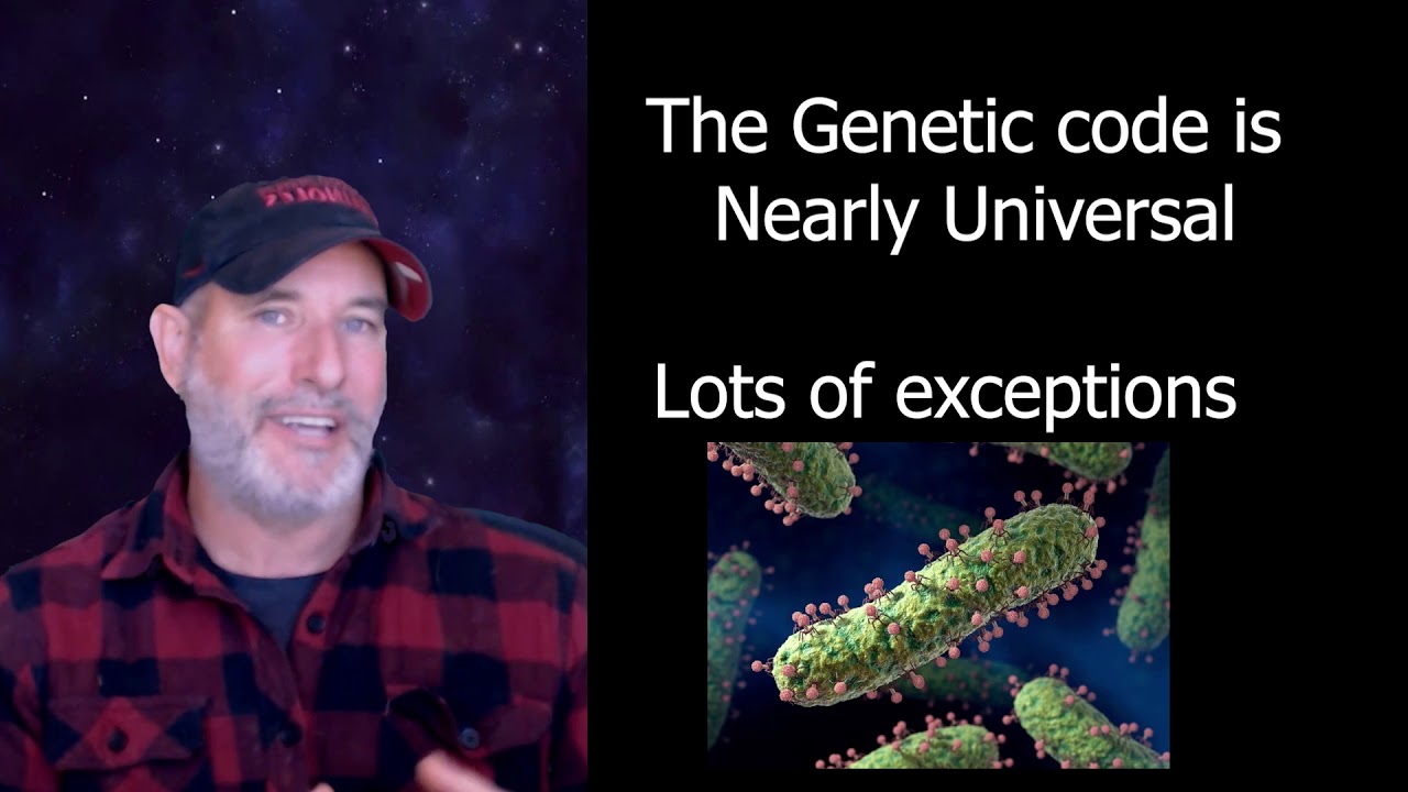 The genetic code and gene expression - YouTube