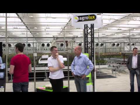 Open dag Piko Plant - YouTube