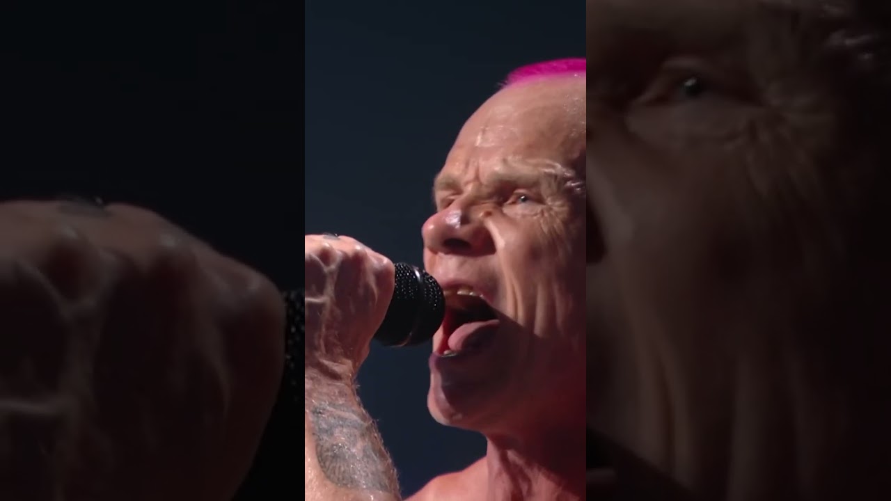 Find yourself someone that loves you like Flea loves… everything | # ... Find yourself someone that loves you like Flea loves… everything | # ...