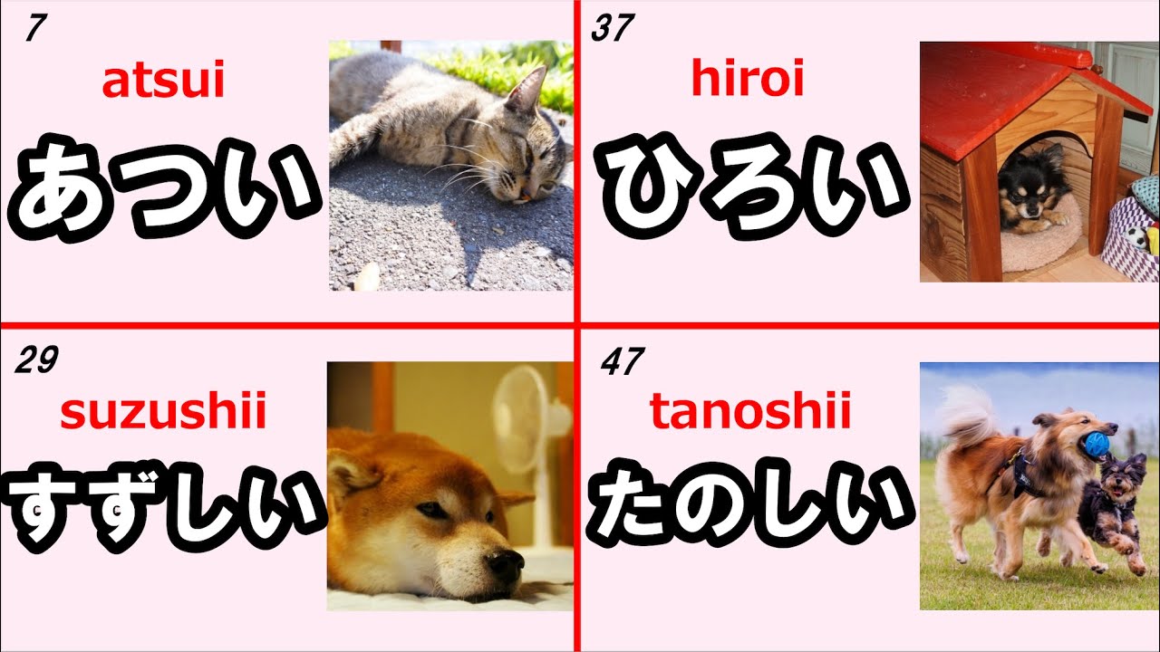 Japanese Adjectives: Phrases Using 50 Basic Japanese Adjectives - YouTube