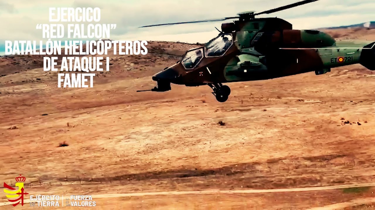 ¡Experimenta el poder del zarpazo de un “Tigre”! - YouTube