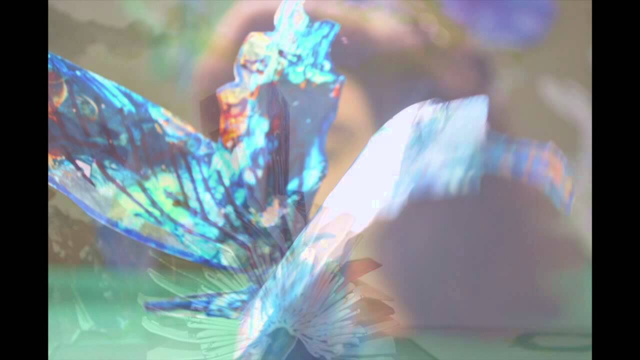 Butterflies animation 2013 - YouTube