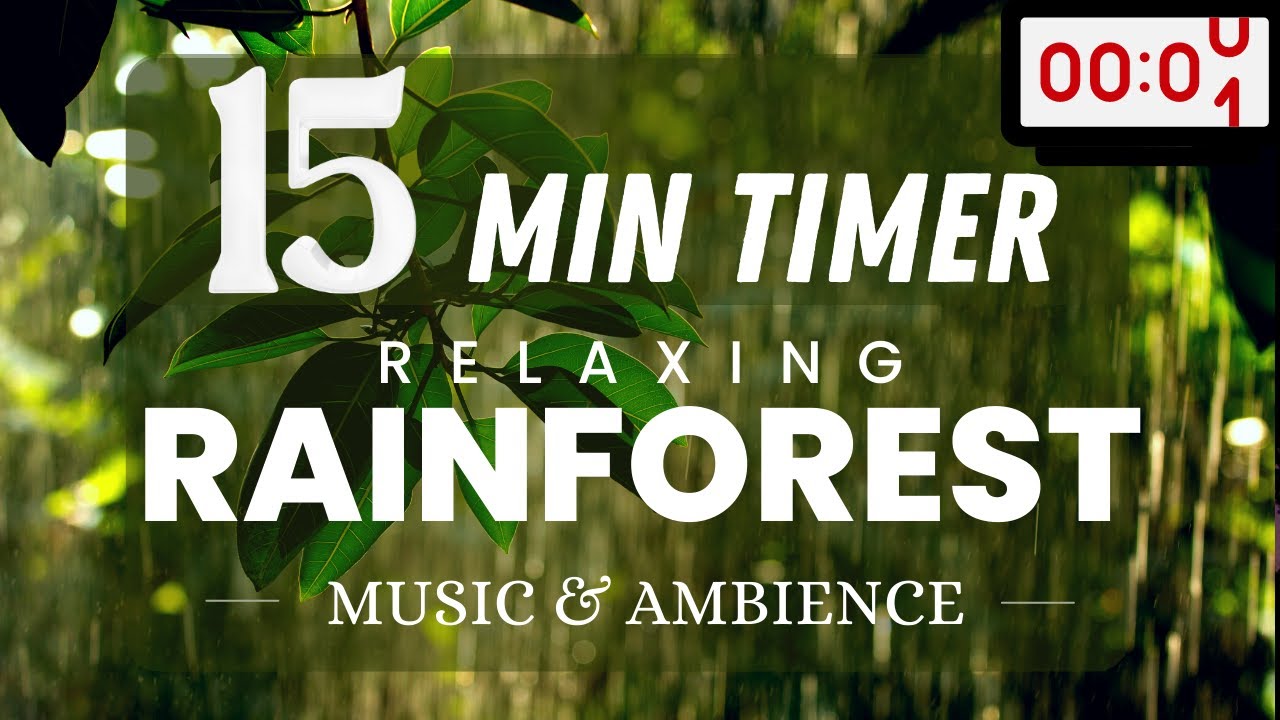 15 Minute Timer - Relaxing Music for Meditation, Study or Sleep (Rain ...