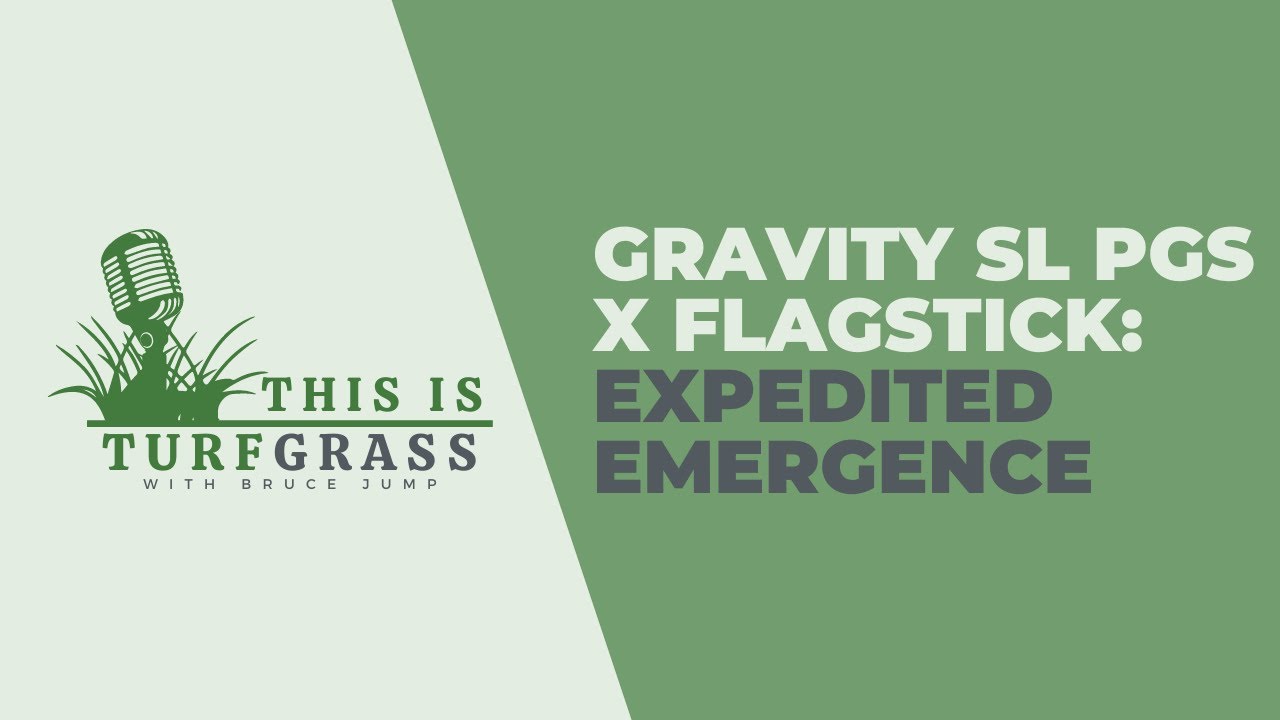 This is Turfgrass Ep. 5 - Gravity SL PGS x Flagstick - Expedited ...