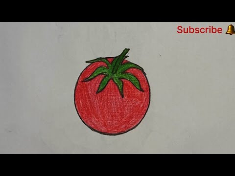 Tomato dressing || how to draw tomato || tamatar ki drawing | easy ...