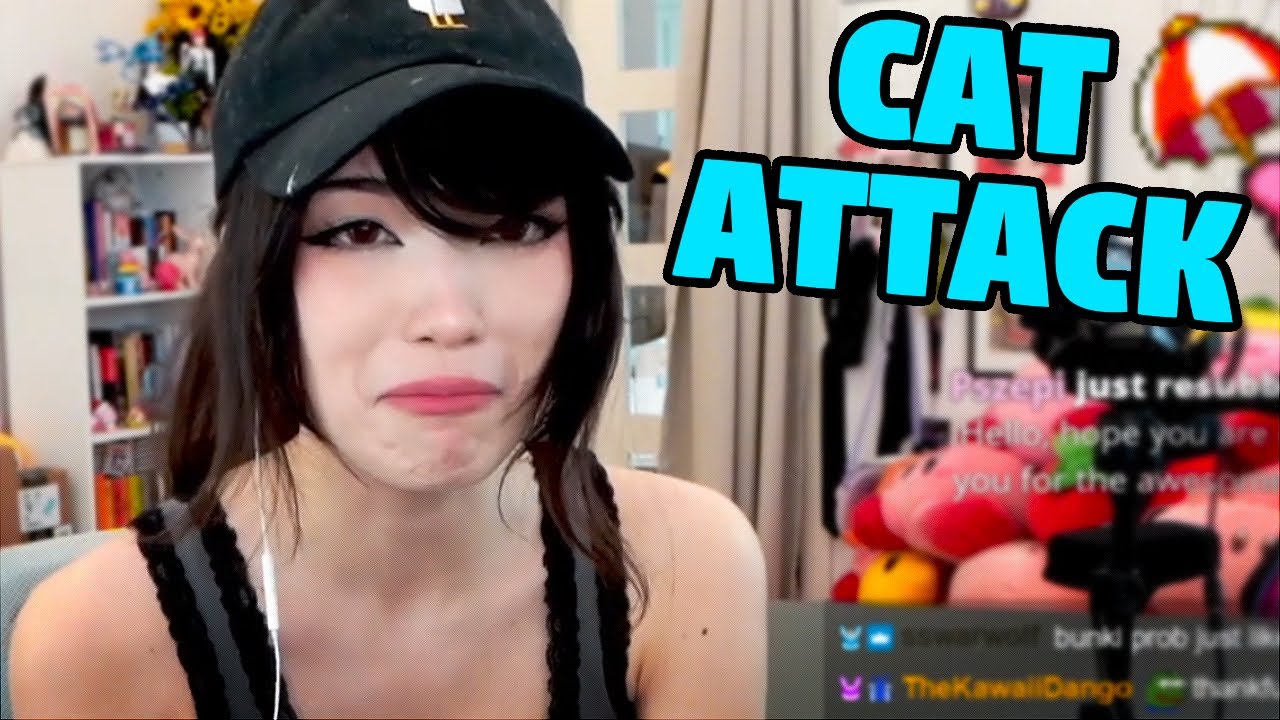 Emiru Pet Hampster Almost Died - YouTube