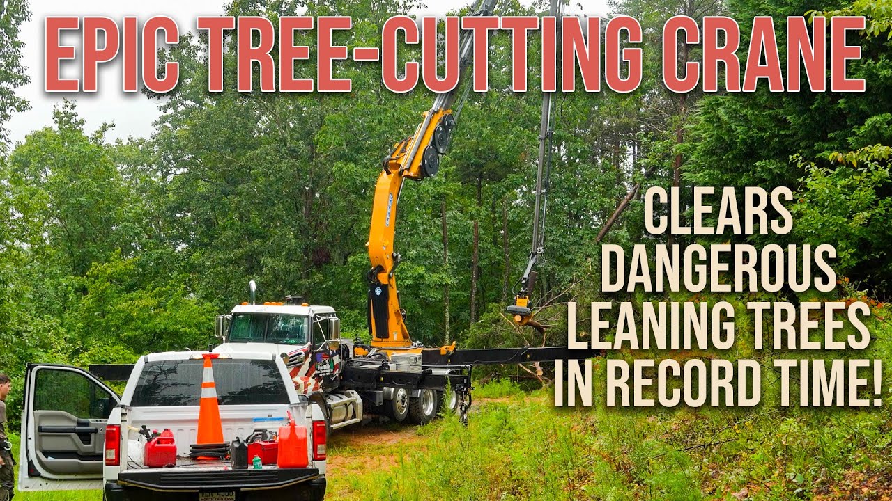 Epic Saw Crane Clears Dangerously Leaning Trees - Foothills Tree ...